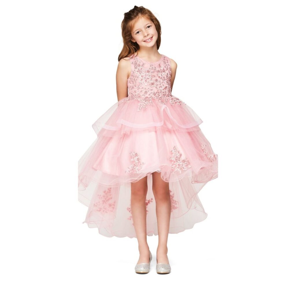 Cinderella Elegant Short Party Dress - Alexas Little Boutique