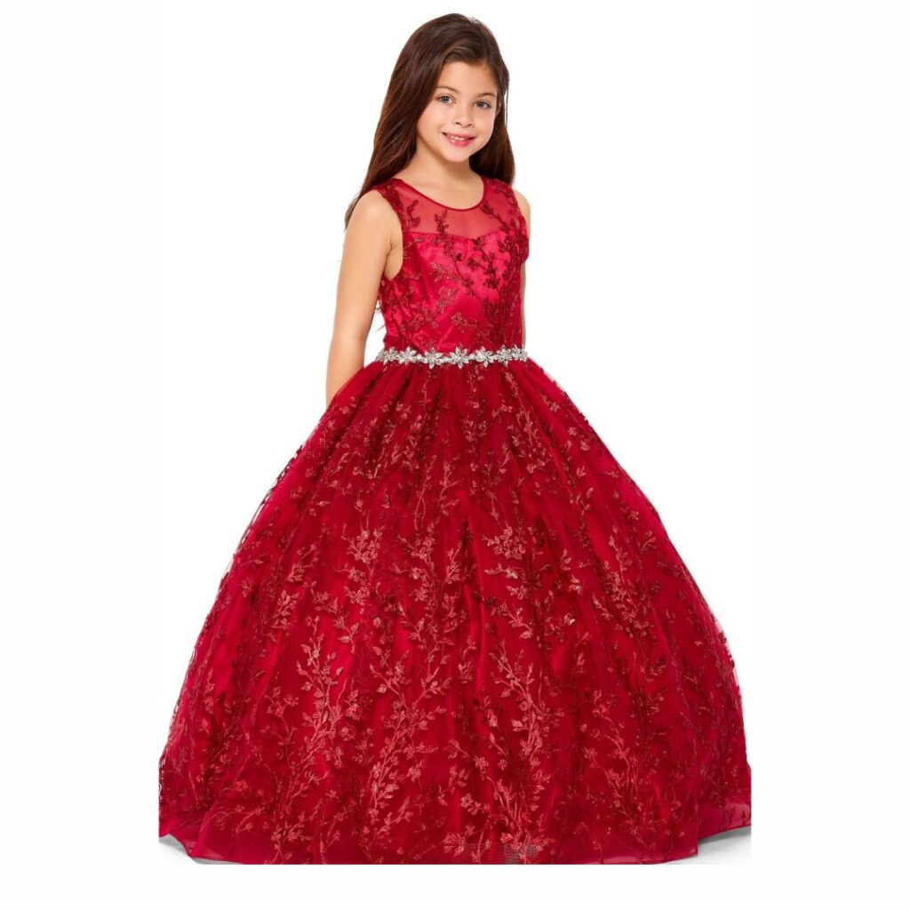Cinderella Royal Party Dress - Alexas Little Boutique